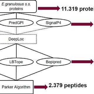 Bioinformatics And Experimental Workflow To Identify Most Exposed Download Scientific Diagram