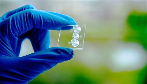 Microfluidic Chips Minan Technologies