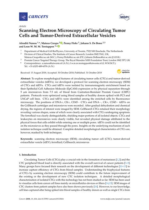 Pdf Scanning Electron Microscopy Of Circulating Tumor Cells And Tumor