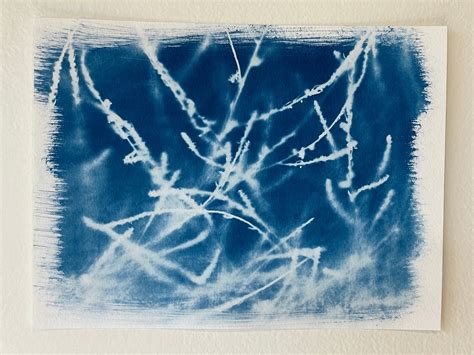 Tumbleweeds Kiss Cypress Evelyn Masso