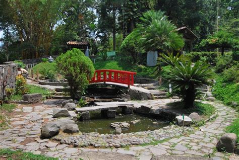 Cómo Diseñar Un Jardín Japonés Auténtico Guía Completa Con Claves Y