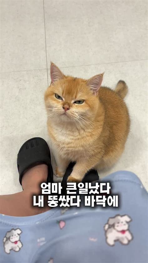 뽀또 ㅋㅋㅋㅋㅋ ㅋㅋㅋㅋㅋㅋㅋㅋㅋㅋ ㅋㅋㅋㅋㅋㅋㅋㅋㅋ걍 어이가없어서 올려봅니다 Instagram
