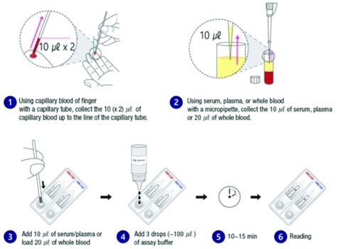 Schematic Representation Of The Assay Procedure Download Scientific