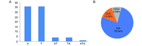 Simple Sequence Repeats Ssrs Analysis In Av Cp Genome A Frequency Download Scientific