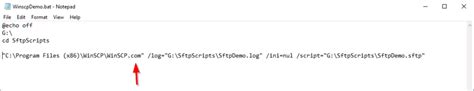 Using Winscp With Sql Server Agent