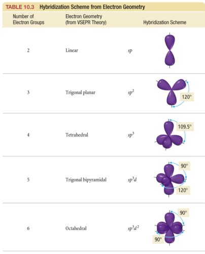 Molecular Structure Vsepr Hybridization Flashcards Quizlet
