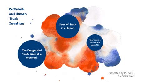 Sense Of Touch In A Cockroach By Mason Stgermain On Prezi