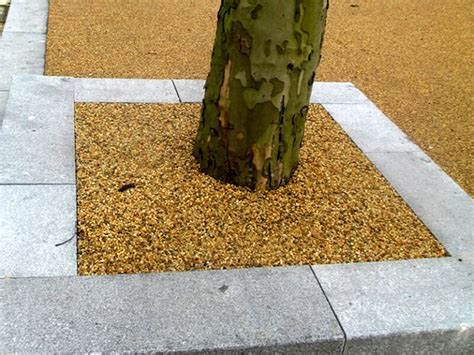 Tree Root Protection EcoGrid