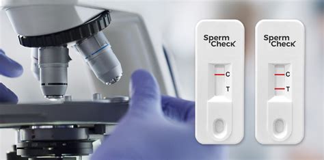 Whats A Normal Sperm Count Post Vasectomy Interpreting Spermcheck Results