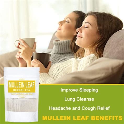 Mullein Leaf Tea Mullein Herbal Tea For Lung Detox Mullein Tea For