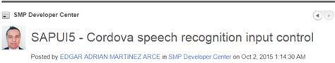 Sapui5 Cordova Speech Recognition Input Control Edgar Martínez Sap Consultant It Professional