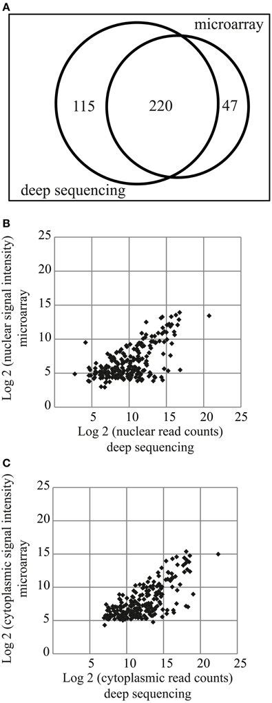 comparison of mirna expression profiles obtained from mirna microarrays
