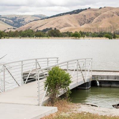 Irvington Fremont Ca Neighborhood Guide Trulia