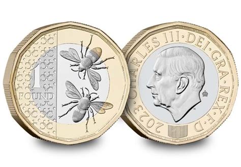rare uk £1 coin pair the 2017 nations of the crown and 2023 bee £1 coins the westminster