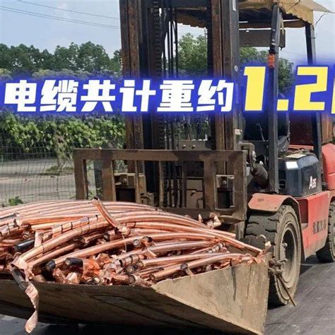 “小偷家族”出动，一晚上偷了12吨电缆