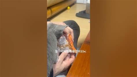 묘생 첫 할아버지와 만남 Youtube