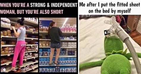 Hilarious Memes About Life