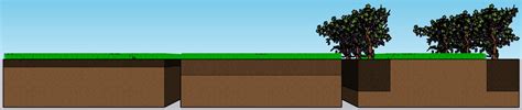 Biochar Application Rate Calculator Pacific Biochar Benefit Corporation