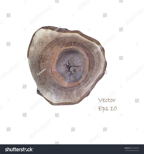 Structure Tree Trunk Vector Illustration Stock Vector Royalty Free Shutterstock