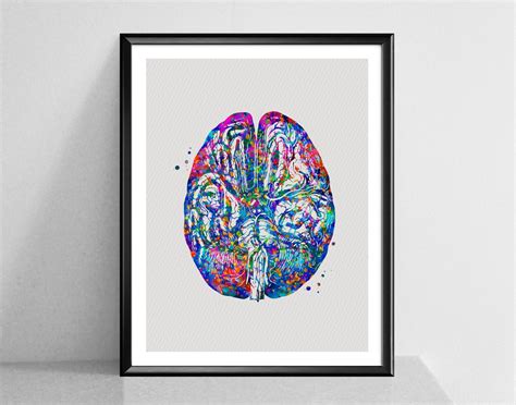 Neurology Poster Brain Anatomy Art Doctor Office Decor Neurologist T