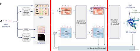Alphafold2蛋白质结构预测ai工作站配置推荐 Alphafold2简介与使用 Csdn博客