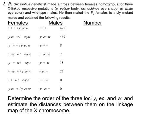 Solved Determine The Order Of The Three Loci Yec ﻿and W