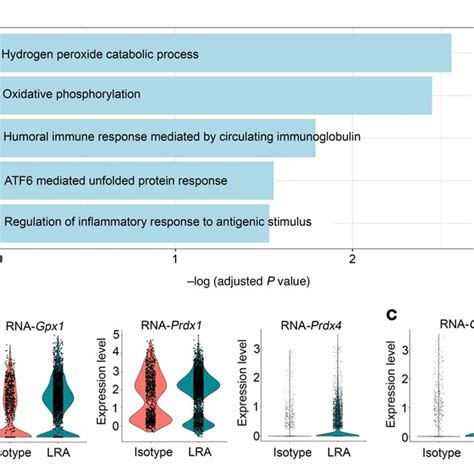 differential expression analysis of single cell rna seq data from