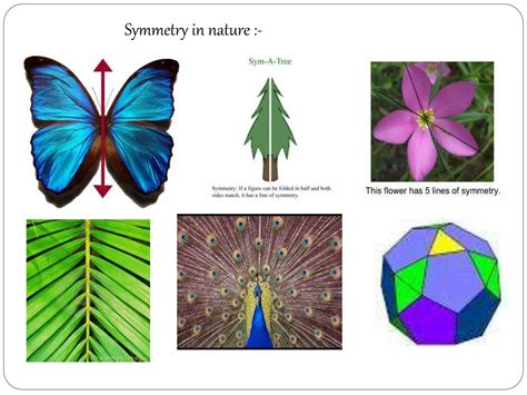 Symmetry Elements And Symmetry Operations Pptx Chemistry Science