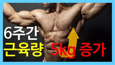 근육량 5kg 늘리는 고볼륨 트레이닝 Gvt 10x10 Youtube