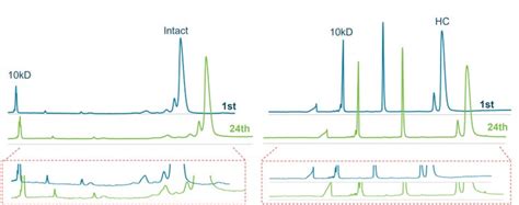 Lightning Capillary Electrophoresis Sodium Dodecyl Sulfate Ce Sds Workflow For High Throughput