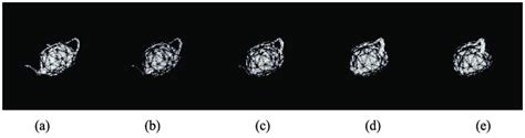Numerical Reconstruction Using Complex Amplitude Data At Directions Of