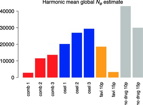 Global Effective Population Sizes Effective Population Sizes At Each