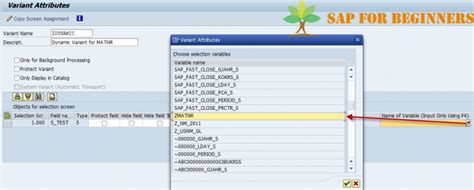How To Create A Dynamic Variant In Sap Using Tvarv Table Sap For Beginners
