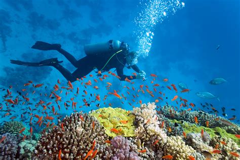 Scuba Diving Classes In Wichita Ks Amber Waves Diving Co