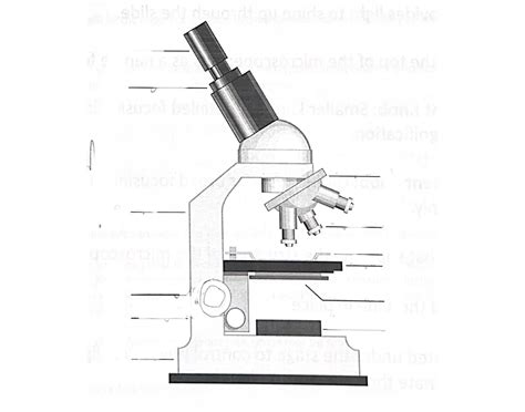Biology Microscope Quiz