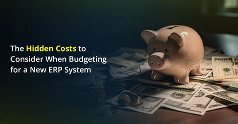 considering hidden costs while budgeting for new erp system