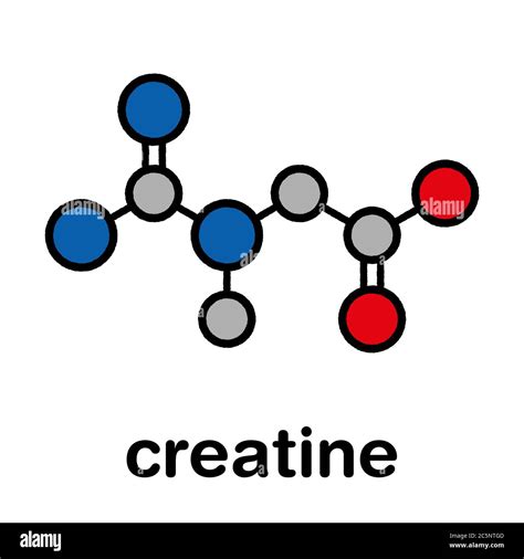 Phosphocreatine