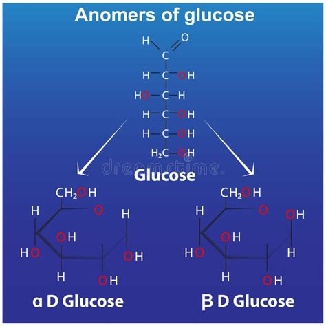 Alpha D Glucose Stock Illustrations 18 Alpha D Glucose Stock