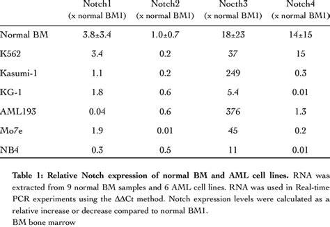 Relative Notch Expression Of Normal Bm And Aml Cell Lines Download Table