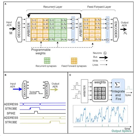 µbrain Event Driven Architecture A The Digital Architecture Is