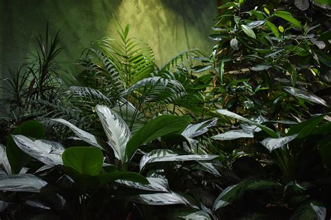 Photoshop Content Aware Fill And How To Use It Learningphotoshop