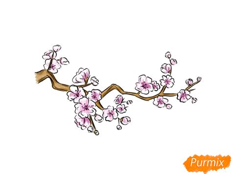 Как нарисовать сакуру поэтапно 7 уроков