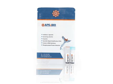 美国apexbio中文官网 Lambda Protein Phosphatase Rnase Free