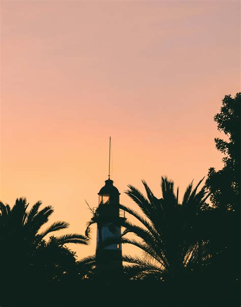 경치 경치가 좋은 고요한 고요함 구름 낭만적인 다채로운 데이트 팜 명상적인 보라색 구름 부채야자 선명한 솜사탕 하늘 수직 쐈어 스카이라인 스페인