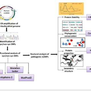 Outline Of The Computational Approaches Employed For The Identification Download Scientific