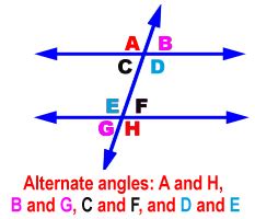 Alternate Angles Also Have The Same Size