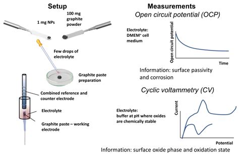 Schematic Illustration Of The Graphite Paste Electrochemical Cell Download Scientific Diagram