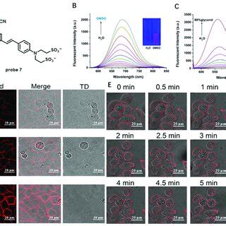 A Chemical Structure Of Probe 7 B C Fluorescent Spectra Of Probe 7 Download Scientific