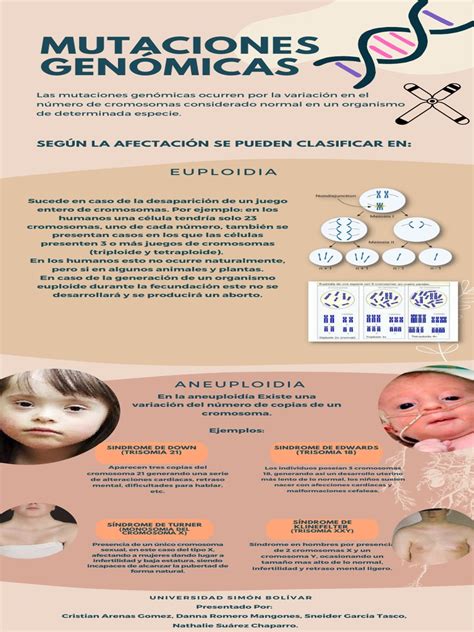 Mutaciones Genomicas Pdf Mutación Enfermedades Y Trastornos