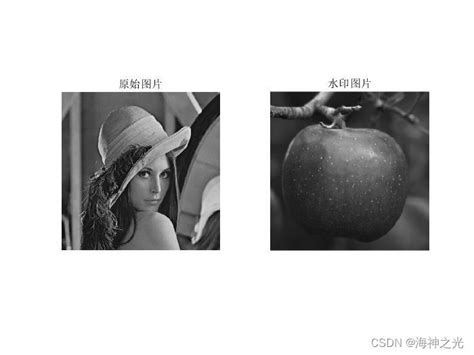 【图像加密解密】基于matlab小波变换dwt图像加密解密【含matlab源码 2521期】matlab Im2double转化后进行加密